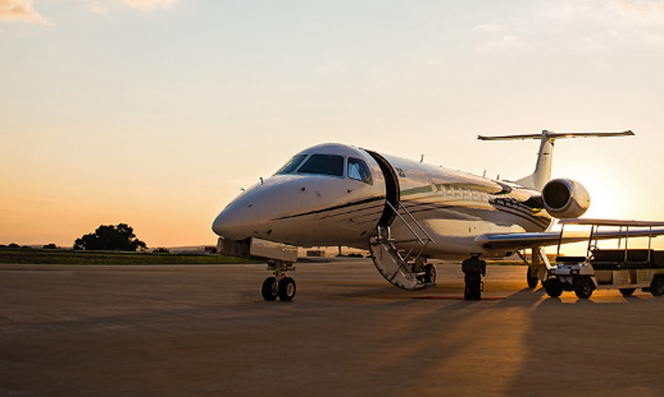 Legacy 600